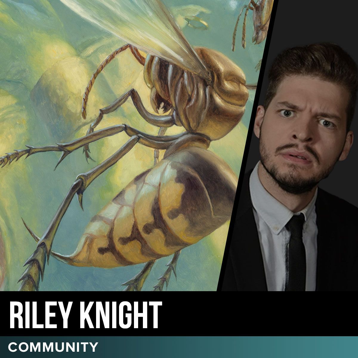 Top 5 Worst Color Pie Breaks - Riley Ranks | TCGplayer