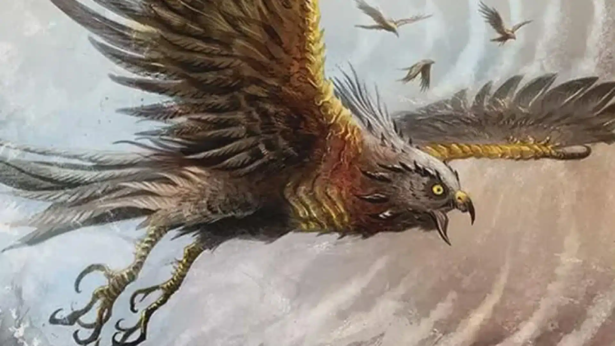 Which Tempest Hawk Commander is Best? The Complete Guide to Tempest ...