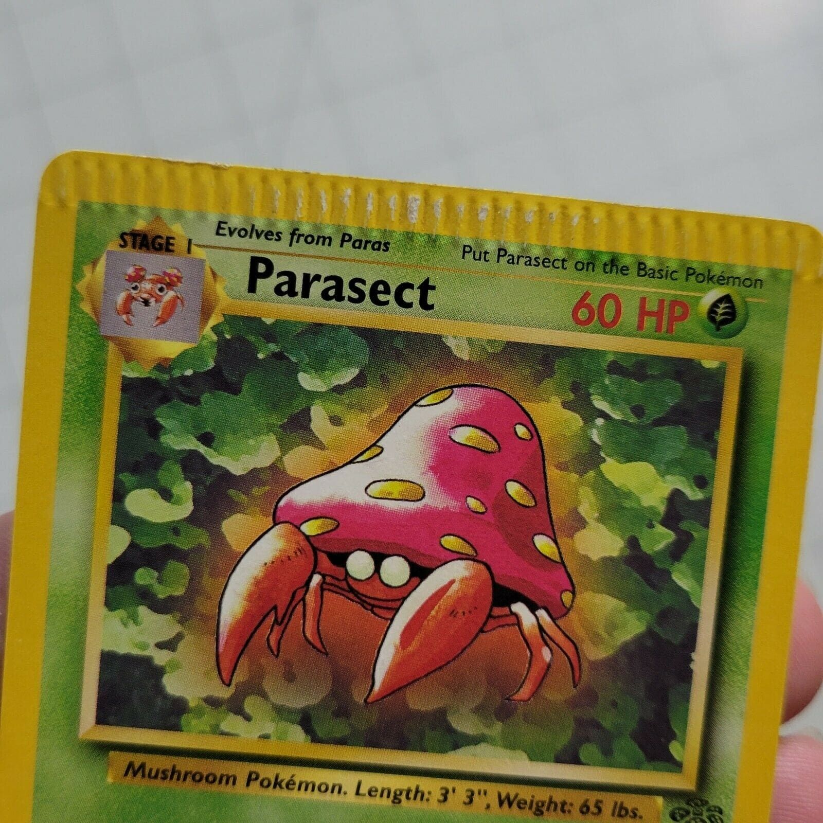 5 Pokémon Error Cards You Might Own | TCGplayer