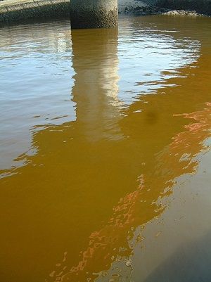 Exploring the Pokémon Regions: Hoenn | TCGplayer