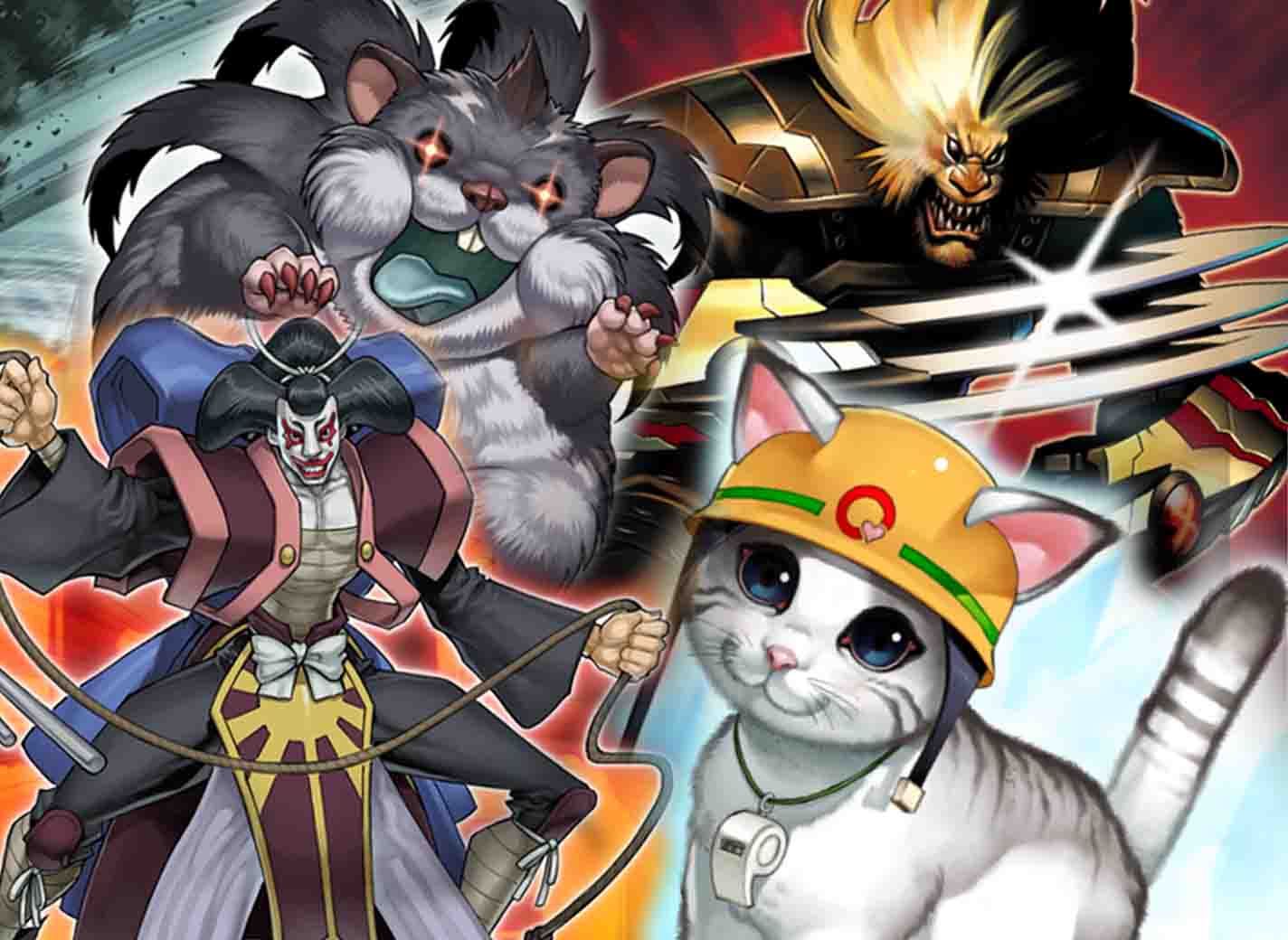 Edison Format Deck Guide: Synchro Cat | TCGplayer