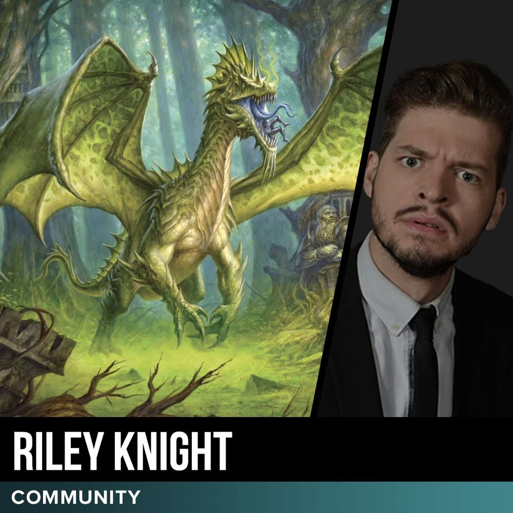 Top 5 Strongest Cards from Forgotten Realms - Riley Ranks | TCGplayer