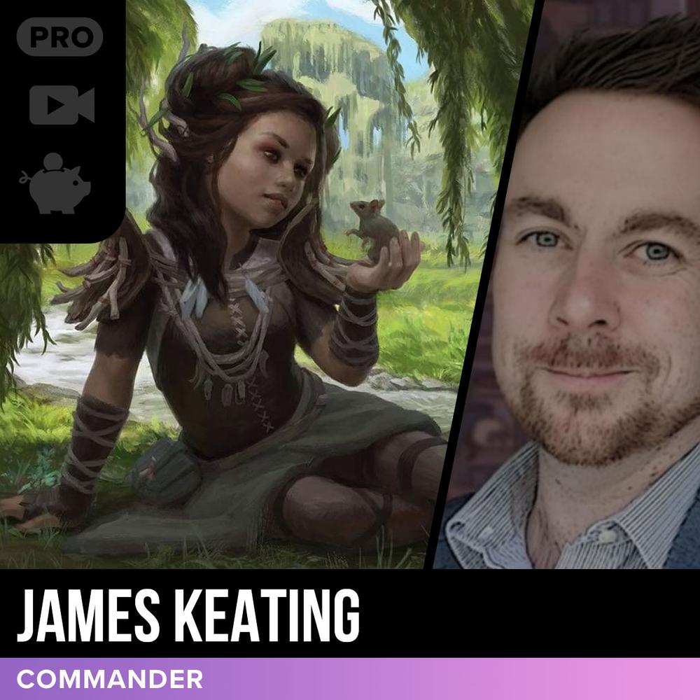 What Commander Deck Should You Build for Your D&D Class? – Druid ...