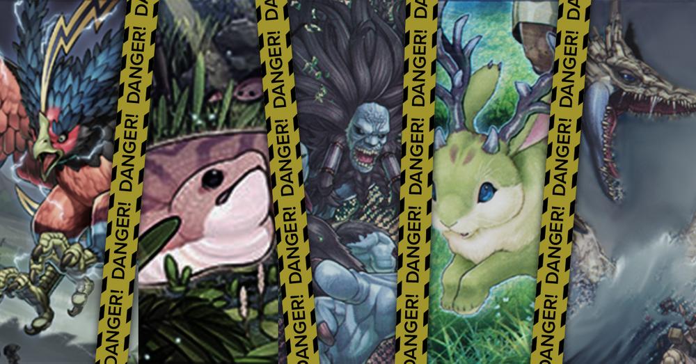 Competitive Corner: Orcust Danger | TCGplayer