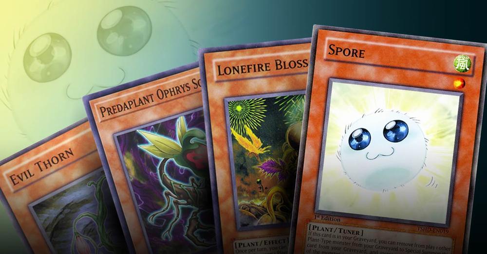 The BEST Plant Combo Deck In Yu-Gi-Oh Today | TCGplayer