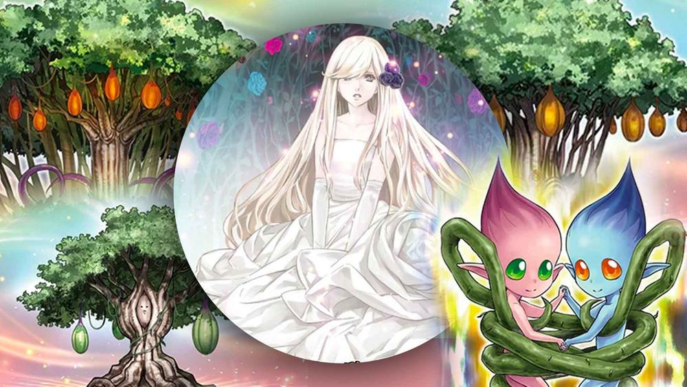 How to Play Yu-Gi-Oh's New Sunavalon Deck | TCGplayer